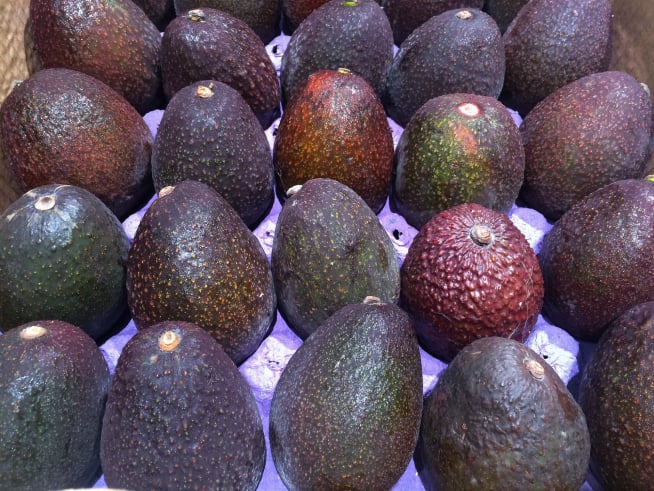 Avocado packing software Australia